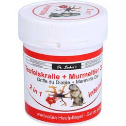 Axisis TEUFELSKRALLE+MURMELTIER 2in1 intensiv Creme 125 ml