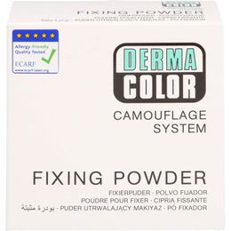 Dermacolor Camouflage Fixierpuder large P11 60 g