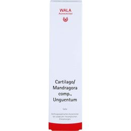 WALA CARTILAGO/Mandragora comp Unguentum 100 g