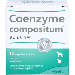 Heel Coenzyme Compositum ad us.vet.Ampullen 10 St