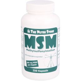 Hirundo Msm 500 mg Methylsulfonylmethan Kapseln 250 St