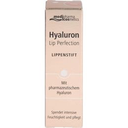 Dr.Theiss Hyaluron Lip Perfection Lippenstift nude 4 g