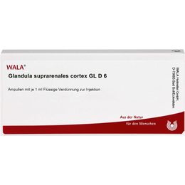 WALA Glandula Suprarenales cortex Gl D 6 Ampullen 10X1 ml