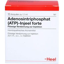 Heel Atp Injeel forte Ampullen 10 St