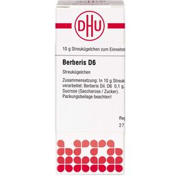DHU-Arzneimittel Berberis D 6 Globuli 10 g