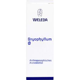 Weleda Bryophyllum Urtinktur 50 ml