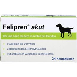 Felipren akut Kautabl.bei u.nach Durchfall f.Hunde 24 St