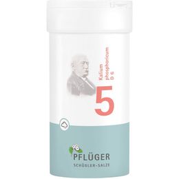 Pfl&uuml;ger&reg; Biochemie Pfl&uuml;ger 5 Kalium phosphoricum D 6 Pulver 100 g