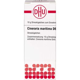DHU-Arzneimittel Cineraria maritima D 6 Globuli 10 g