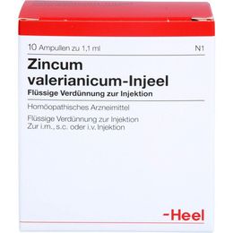Heel Zincum Valerianicum Injeel Ampullen 10 St