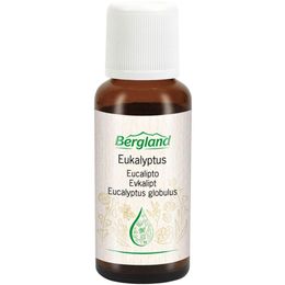 Eukalyptus &Ouml;l nat&uuml;rlich 30 ml
