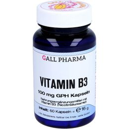 Hecht-Pharma Vitamin B3 100 mg Gph Kapseln 60 St