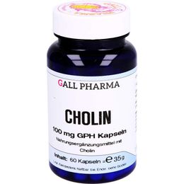Hecht-Pharma Cholin 100 mg Gph Kapseln 60 St
