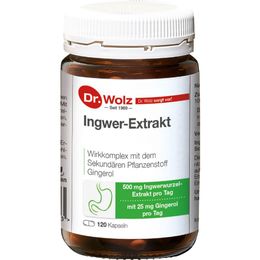 Dr. Wolz Zell GmbH Ingwer Extrakt Dr.Wolz Kapseln 120 St