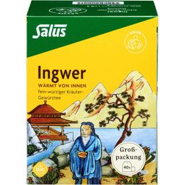 Ingwer KR&Auml;UTER-GEW&Uuml;RZTEE-Mischung Bio Salus Fbtl. 40 St
