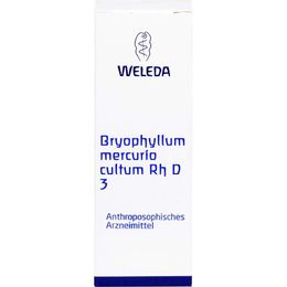 Weleda Bryophyllum Mercurio cultum Rh D 3 Dilution 20 ml