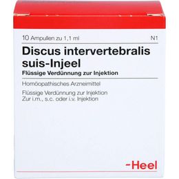 Heel Discus Intervertebralis suis Injeel Ampullen 10 St