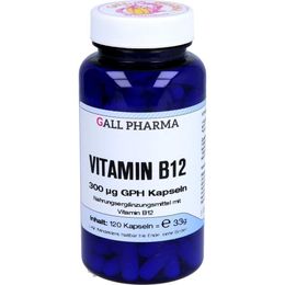 Hecht-Pharma Vitamin B12 300 &mu;g Gph Kapseln 120 St