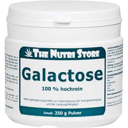 Hirundo Galactose 100% rein Pulver 250 g