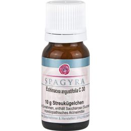 SPAGYRA Echinacea Angustifolia C 30 Globuli 10 g