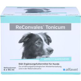 Reconvales Tonicum f&uuml;r Hunde 6X90 ml