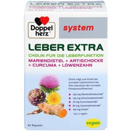 Queisser Doppelherz Leber Extra system Kapseln 60 St