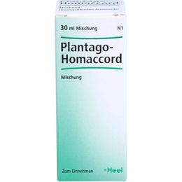 Heel Plantago Homaccord Tropfen 30 ml