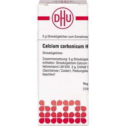 DHU-Arzneimittel Calcium Carbonicum Hahnemanni Lm Xxx Globuli 5 g