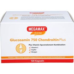 Glucosamin 750 Chondroitin Plus Megamax Kapseln 120 St
