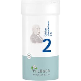 Pfl&uuml;ger&reg; Biochemie Pfl&uuml;ger 2 Calcium phosphoricum D 6 Pulv. 100 g