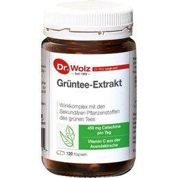 Dr. Wolz Zell GmbH Grüntee Extrakt Dr.Wolz Kapseln 120 St