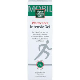 Dr.Theiss Allg&auml;uer LATSCHENK. w&auml;rmendes Intensiv Gel 200 ml