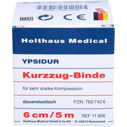 Holthaus Medical GmbH & Co. KG Kurzzugbinde Ypsidur 6 cmx5 m 1 St