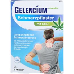 Heilpflanzenwohl GmbH Gelencium Schmerzpflaster 6 St