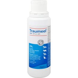 Heel Traumeel Gel ad us.vet. 1X250 g