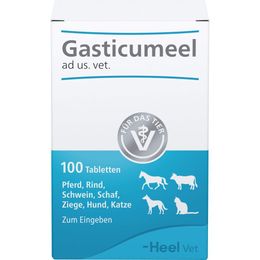 Heel Gasticumeel ad us.vet.Tabletten 100 St