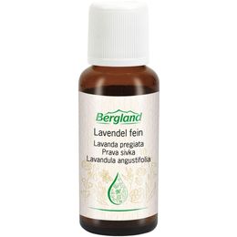 Lavendel &Ouml;l fein 30 ml