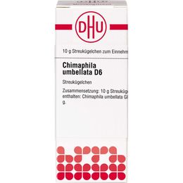 DHU-Arzneimittel Chimaphila Umbellata D 6 Globuli 10 g