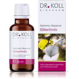 GEMMO-MAZERAT Silberlinde Dr.Koll Tilia tomen.Tro. 50 ml
