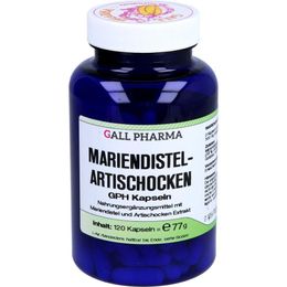 Hecht-Pharma Mariendistel Artischocken Gph Kapseln 120 St