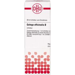 DHU-Arzneimittel Galega officinalis Urtinktur 20 ml