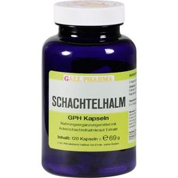 Hecht-Pharma Schachtelhalm Kapseln 120 St