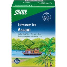 Assam schwarzer Tee Bio Salus Filterbeutel 15 St