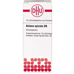 DHU-Arzneimittel Actaea Spicata D 6 Globuli 10 g