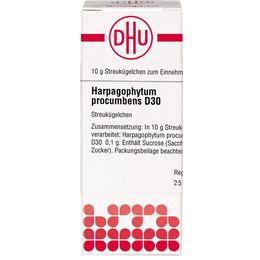 DHU-Arzneimittel Harpagophytum Procumbens D 30 Globuli 10 g