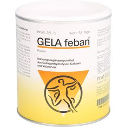 Gela Feban Pulver m.Gelatinehydrolysat plus 250 g