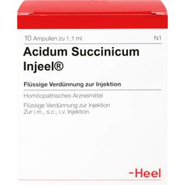 Heel Acidum Succinicum Injeel Ampullen 10 St
