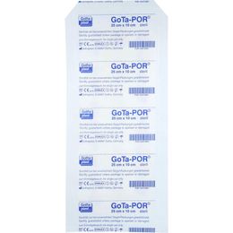 GOTA-POR Wundpflaster steril 100x250 mm 1 St