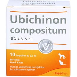 Heel Ubichinon compositum ad us.vet.Ampullen 10 St