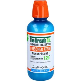The Breath Co Mundsp&uuml;lung icy mint 500 ml